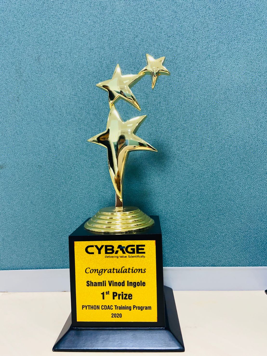 Shamli Ingole | Portfolio